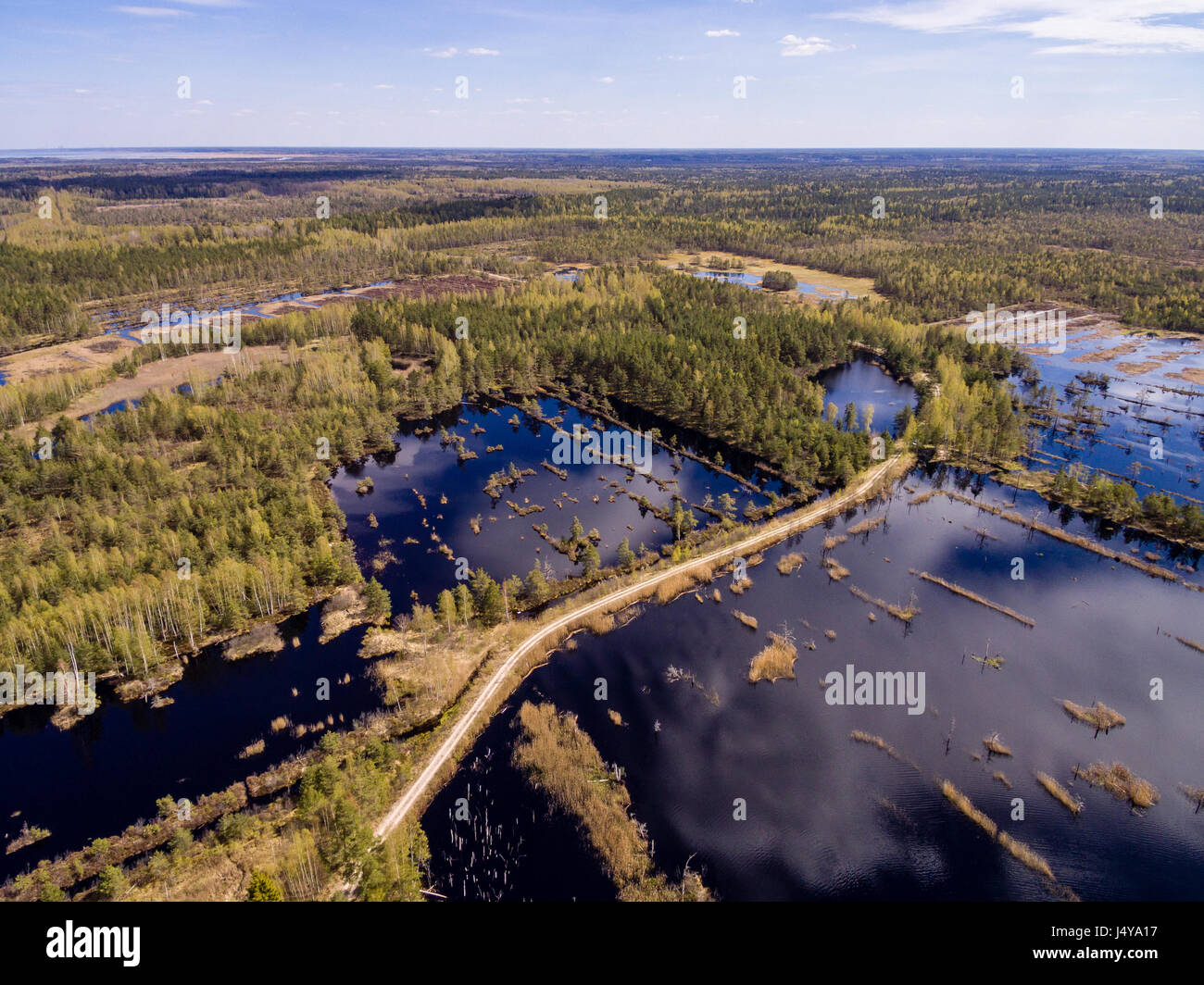 drone image. aerial view of rural area with swamp lakes with blue water ...