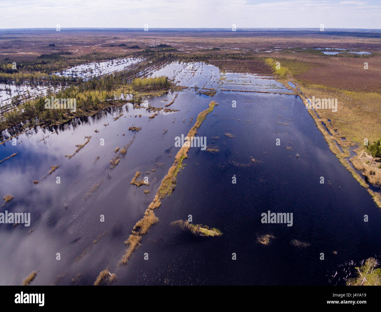 drone image. aerial view of rural area with swamp lakes with blue water ...