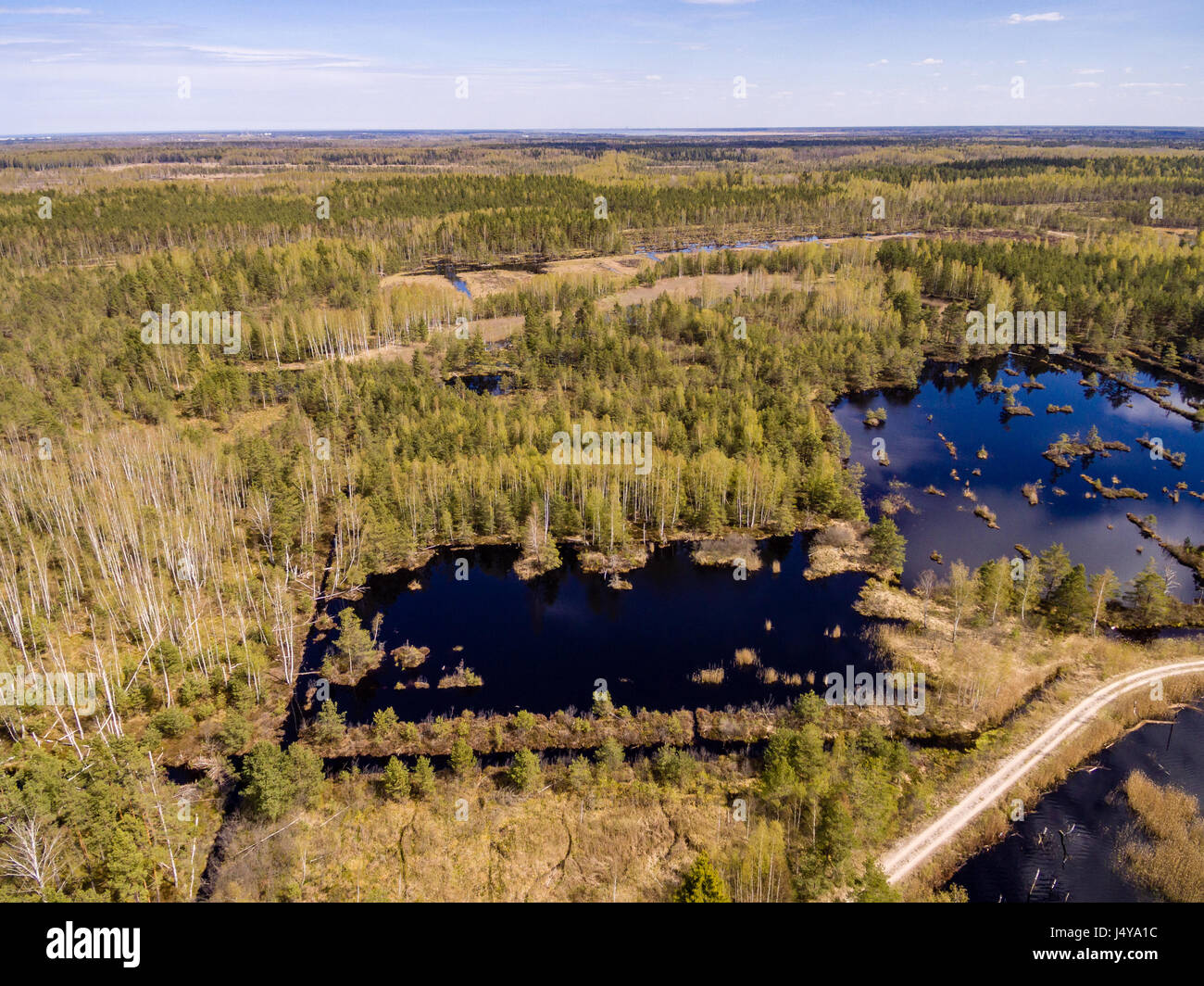 drone image. aerial view of rural area with swamp lakes with blue water ...
