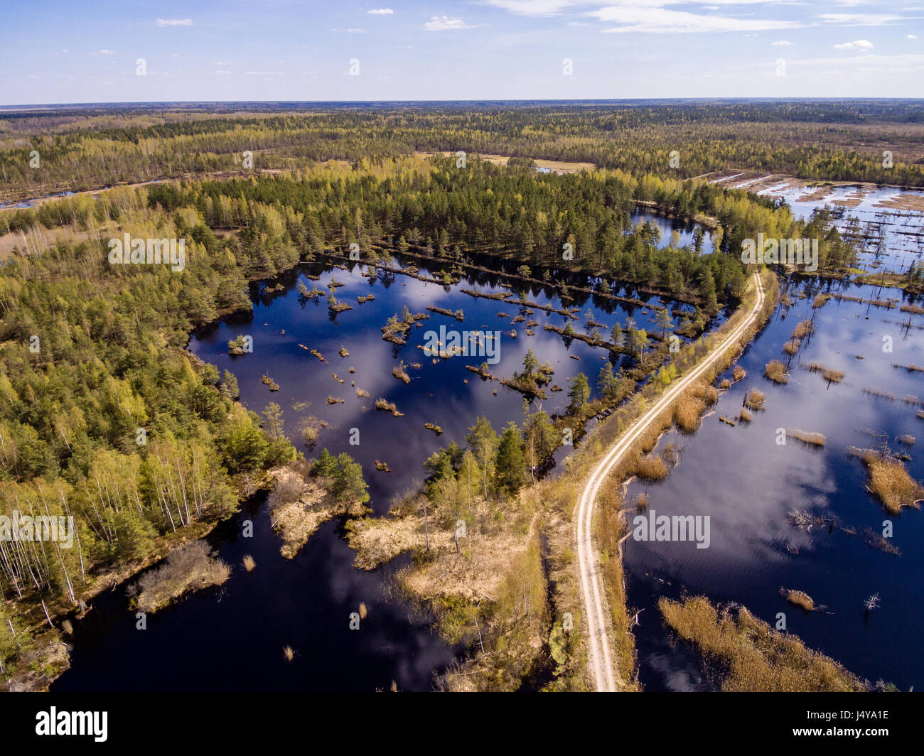 drone image. aerial view of rural area with swamp lakes with blue water ...