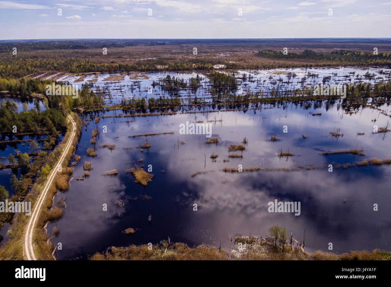 drone image. aerial view of rural area with swamp lakes with blue water ...