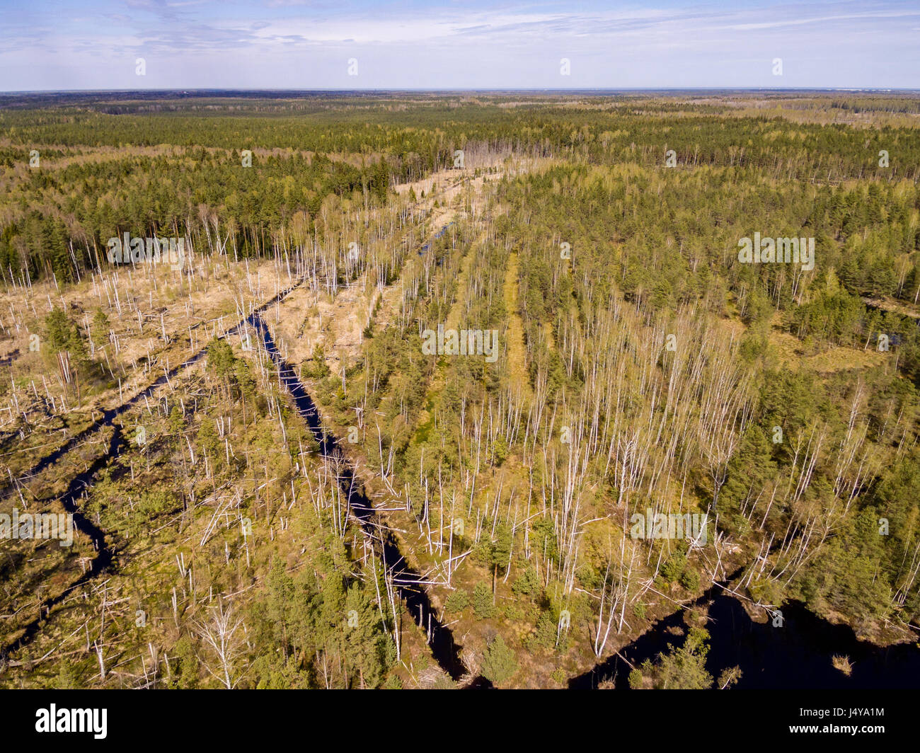 drone image. aerial view of rural area with swamp lakes with blue water ...