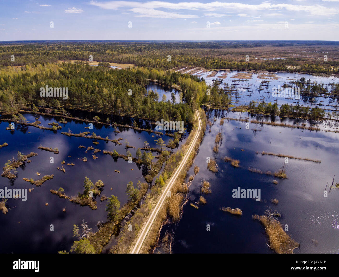 drone image. aerial view of rural area with swamp lakes with blue water ...
