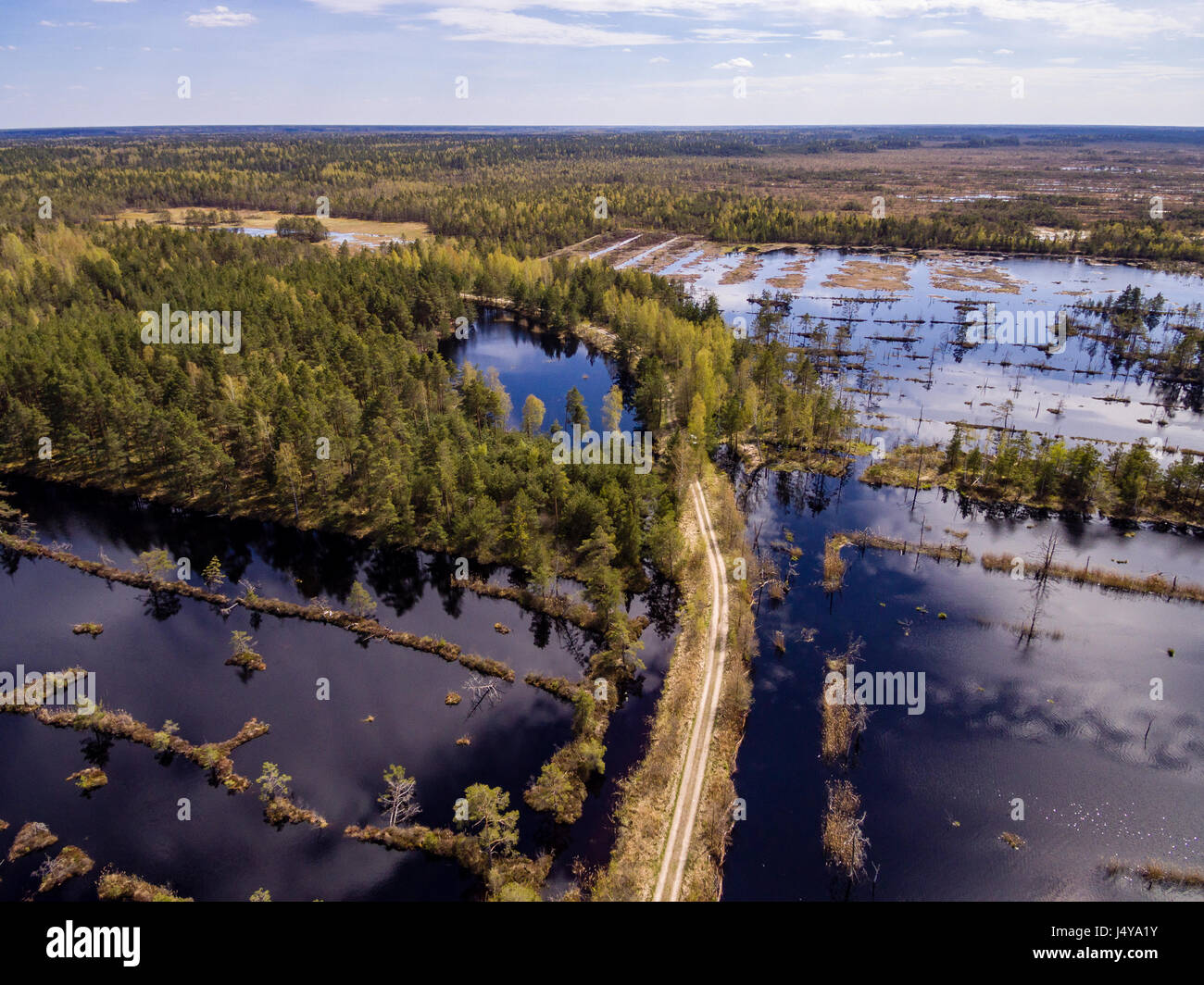 drone image. aerial view of rural area with swamp lakes with blue water ...