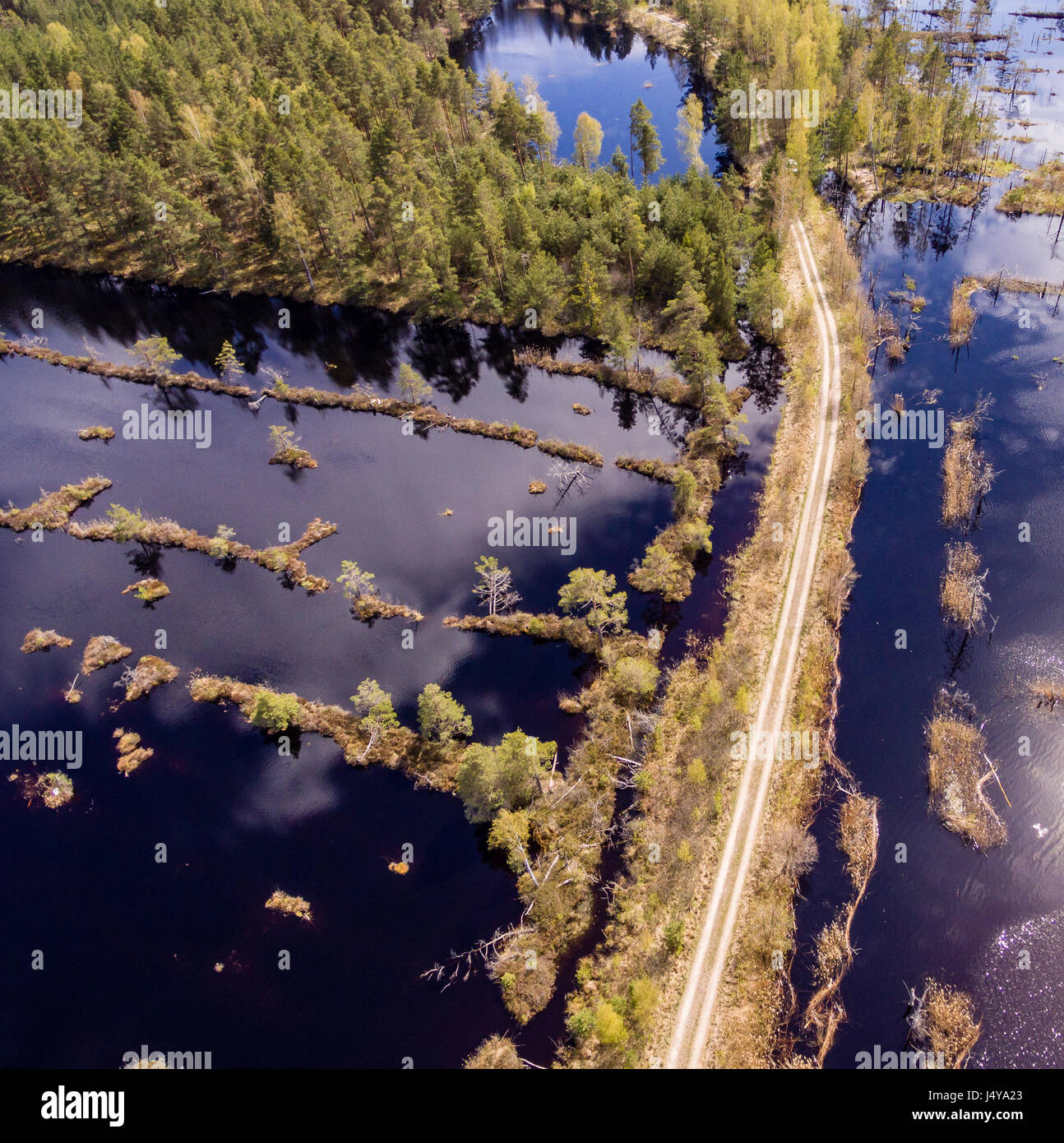drone image. aerial view of rural area with swamp lakes with blue water ...