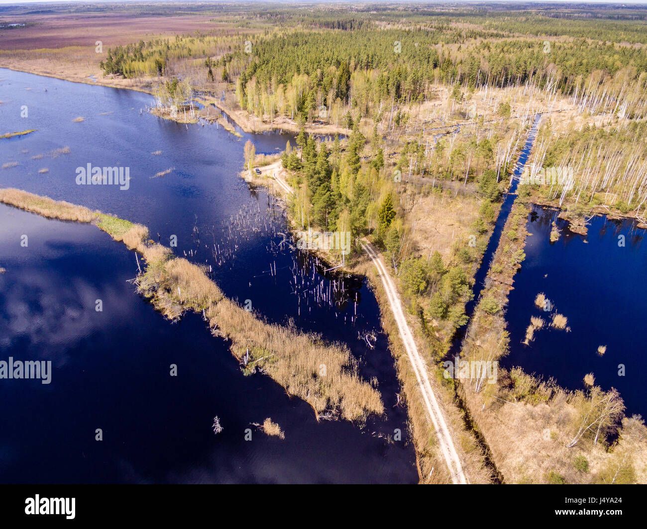 drone image. aerial view of rural area with swamp lakes with blue water ...