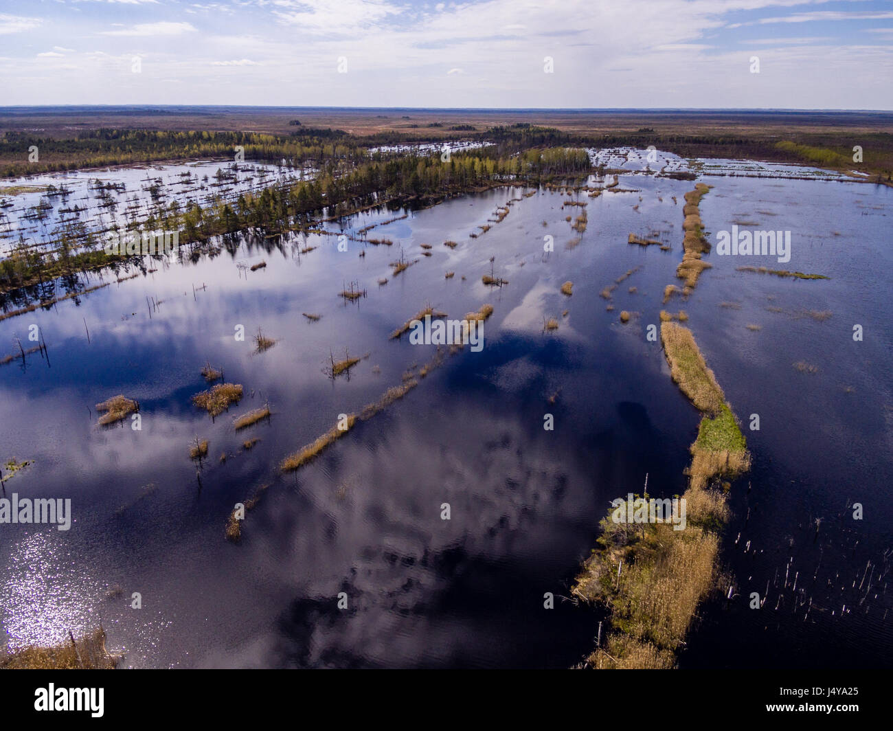 drone image. aerial view of rural area with swamp lakes with blue water ...