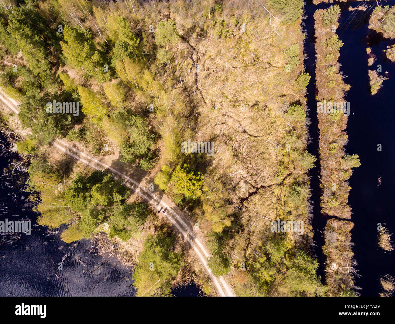 drone image. aerial view of rural area with swamp lakes with blue water ...