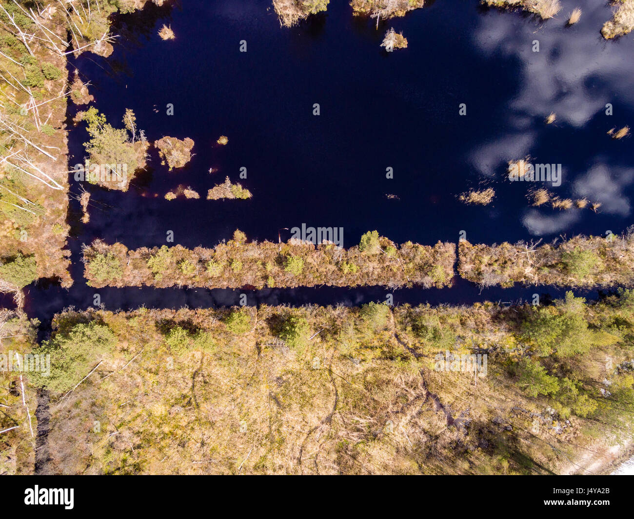 drone image. aerial view of rural area with swamp lakes with blue water ...