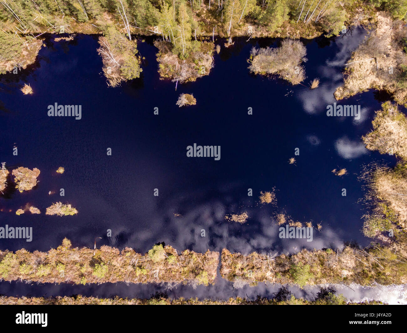 drone image. aerial view of rural area with swamp lakes with blue water ...