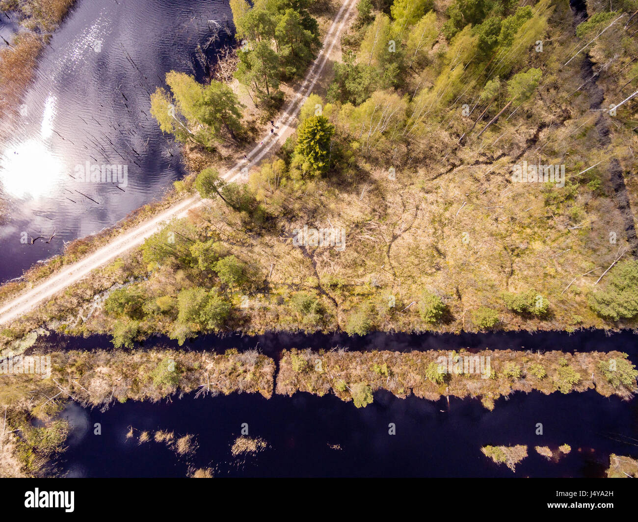 drone image. aerial view of rural area with swamp lakes with blue water ...