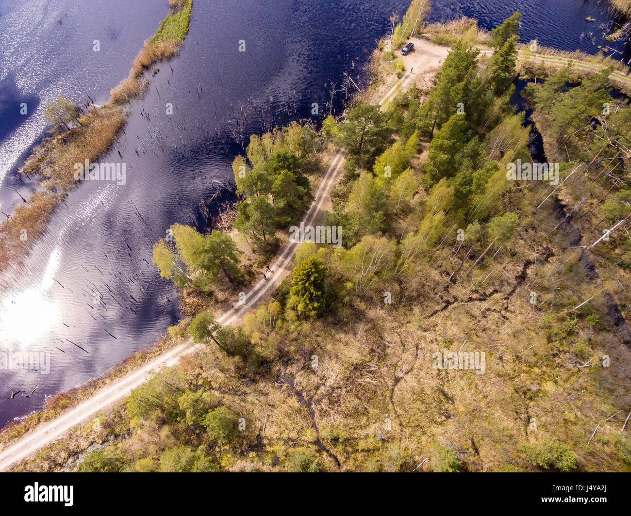 drone image. aerial view of rural area with swamp lakes with blue water ...