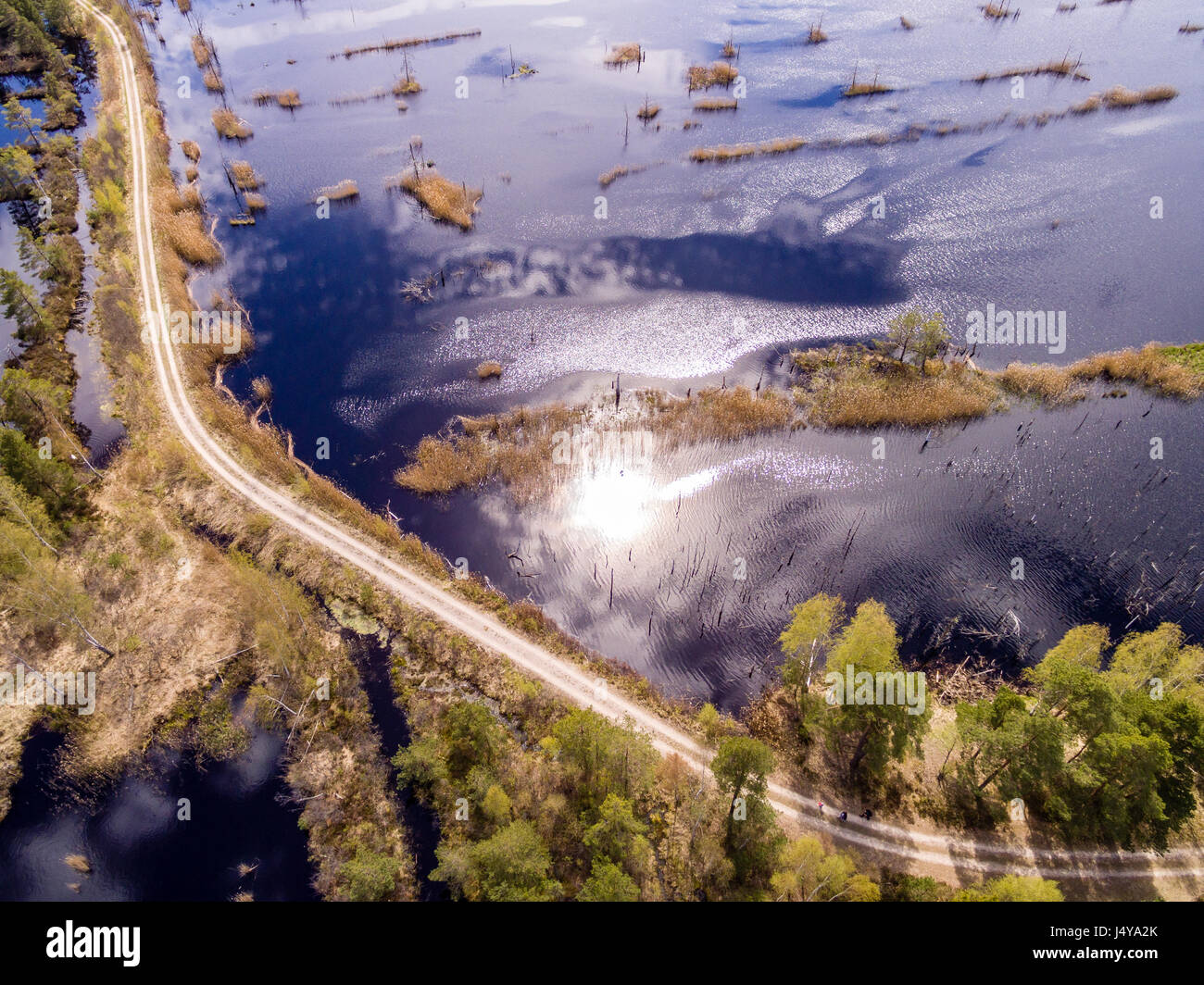 drone image. aerial view of rural area with swamp lakes with blue water ...