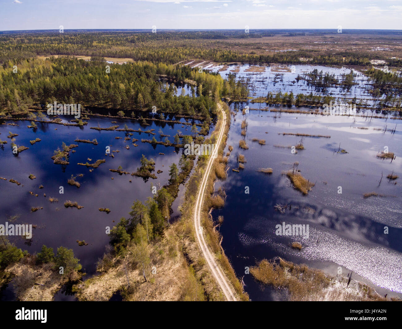 drone image. aerial view of rural area with swamp lakes with blue water ...
