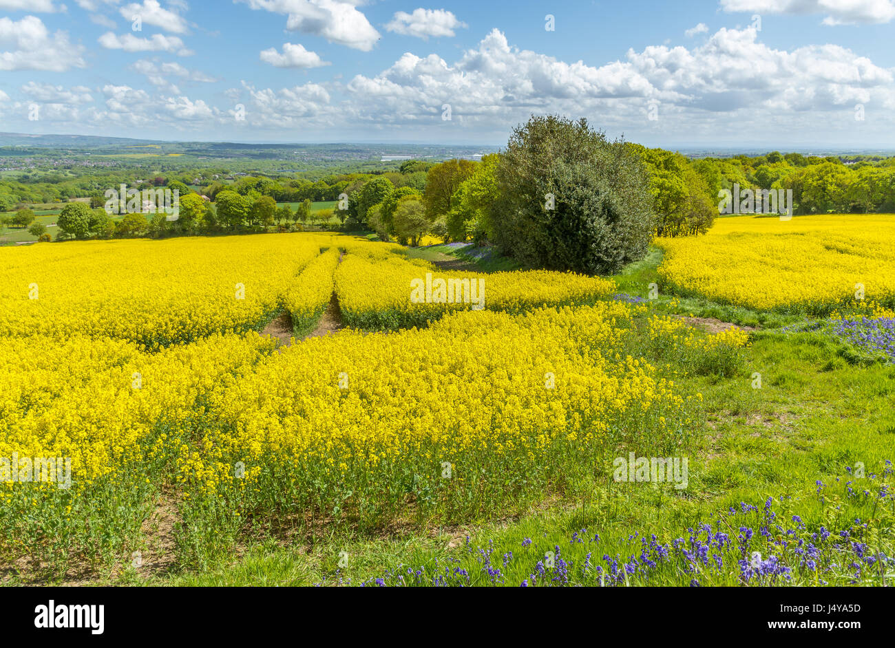 A view of the countryside and area around Ashurst Beacon at Up Holland ...