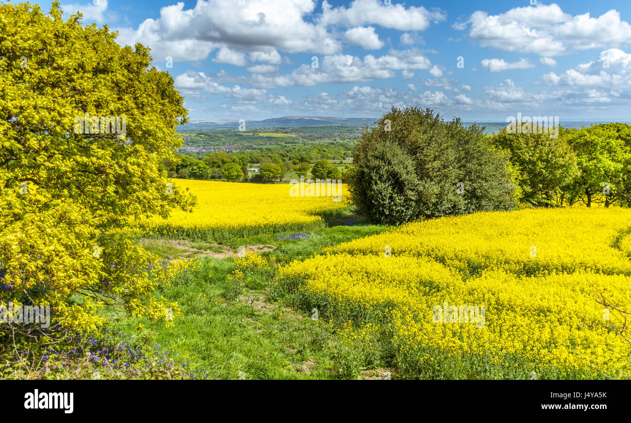 A view of the countryside and area around Ashurst Beacon at Up Holland ...