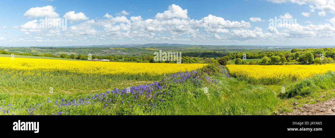A panoramic view of the countryside and area around Ashurst Beacon at ...