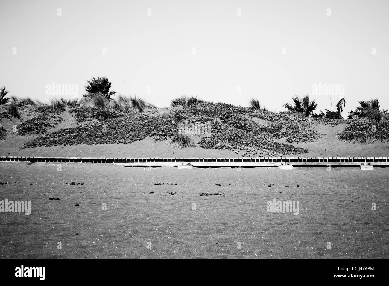 Flat beach sand Black and White Stock Photos & Images - Alamy