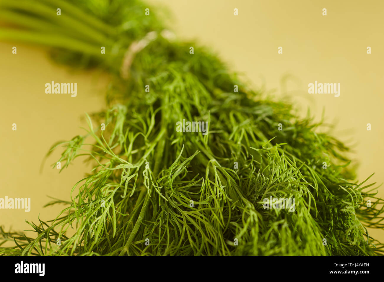 a bunch of fresh dill Stock Photo - Alamy