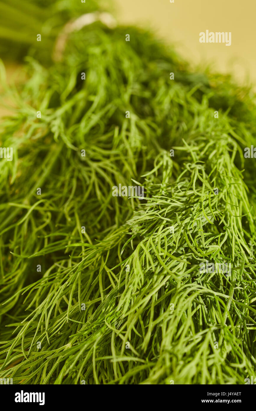 a bunch of fresh dill Stock Photo - Alamy