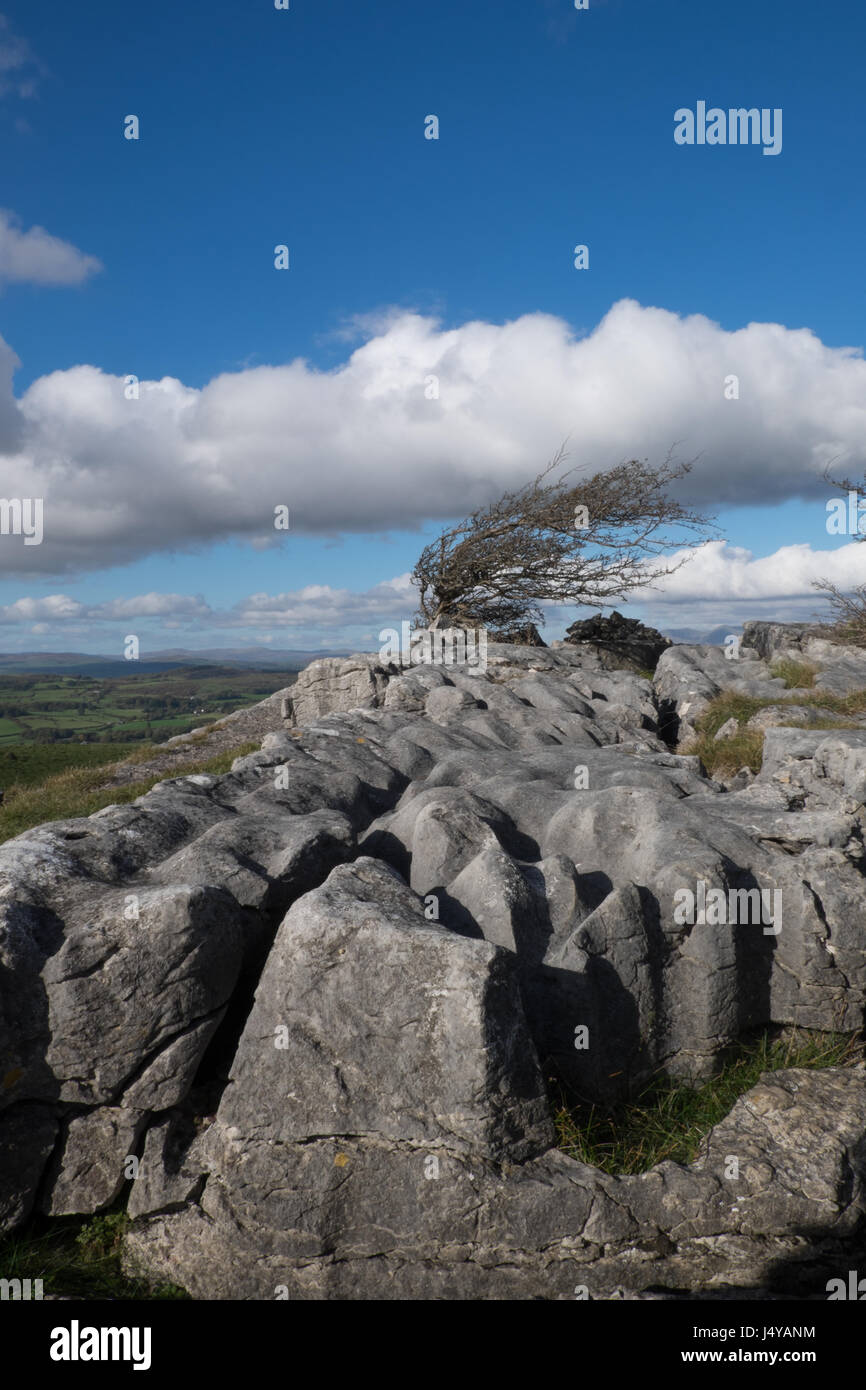 Cumbrian landscape, Hampsfell Stock Photo - Alamy