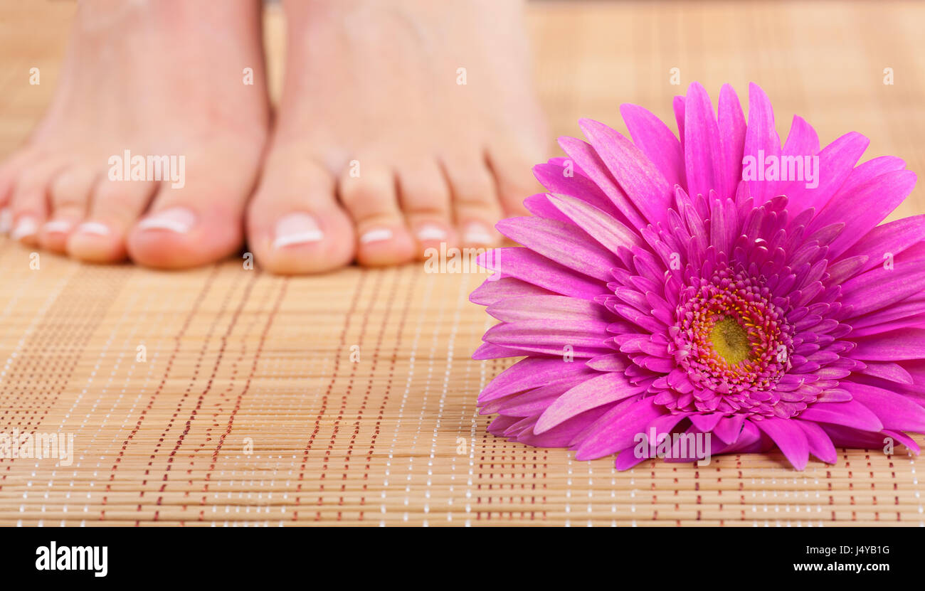 Beautiful well-groomed feet with pedicure and pink flower. Focus on ...