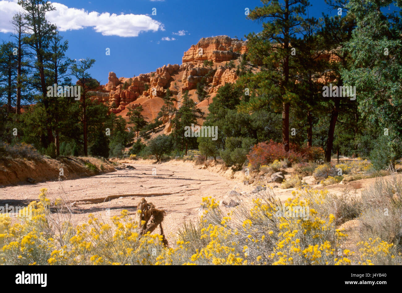 Near Mt. Carmel Junction, Utah 9 13 Stock Photo - Alamy