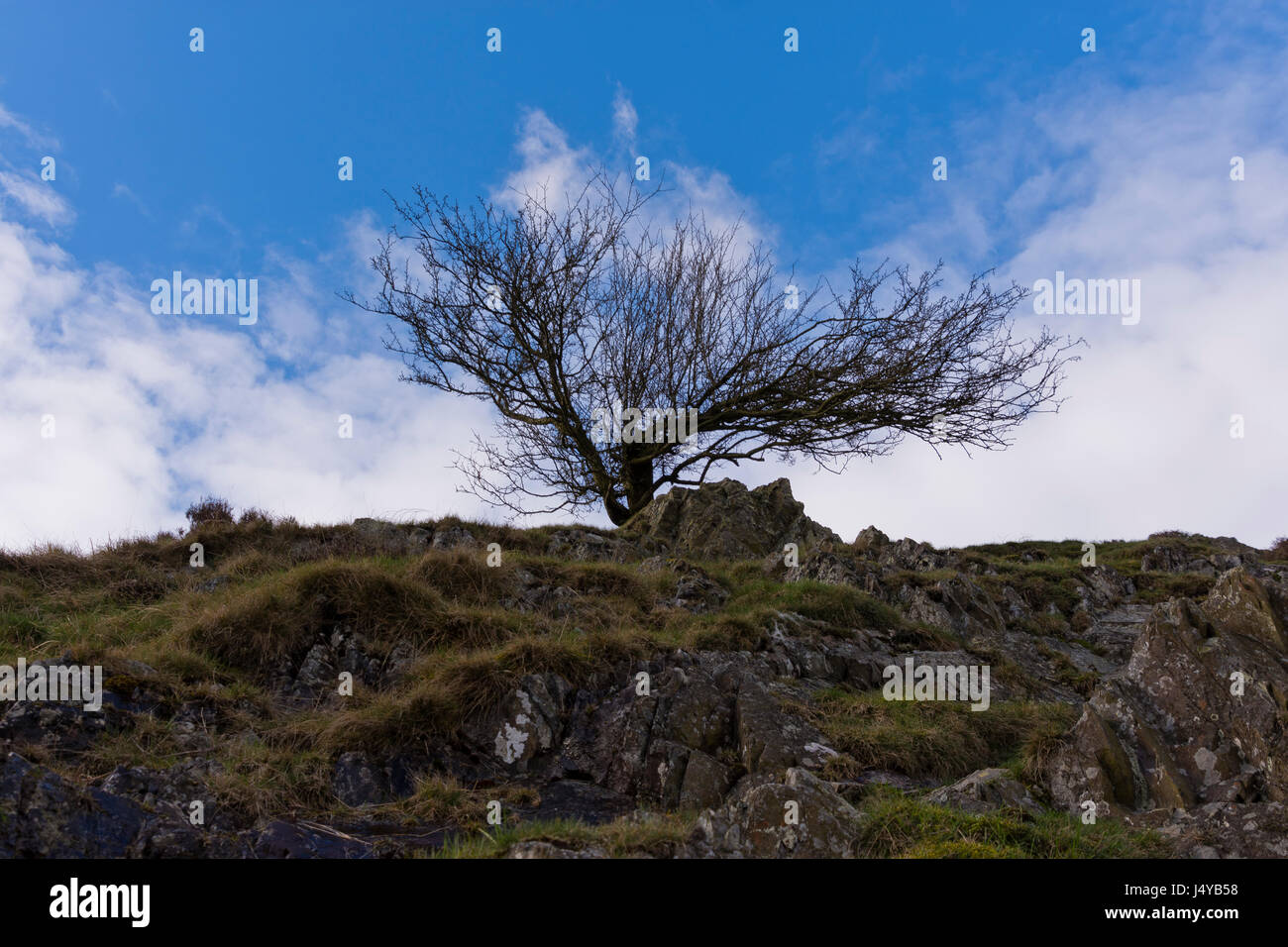 Lightspout waterfall shropshire hi-res stock photography and images - Alamy