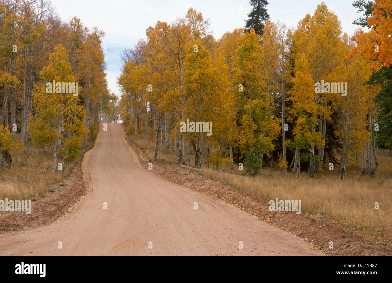 Dixie National Forest, Utah 9 13 Stock Photo - Alamy