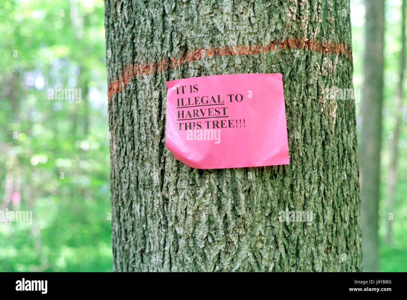 Sign marks tree in buffer hi-res stock photography and images - Alamy