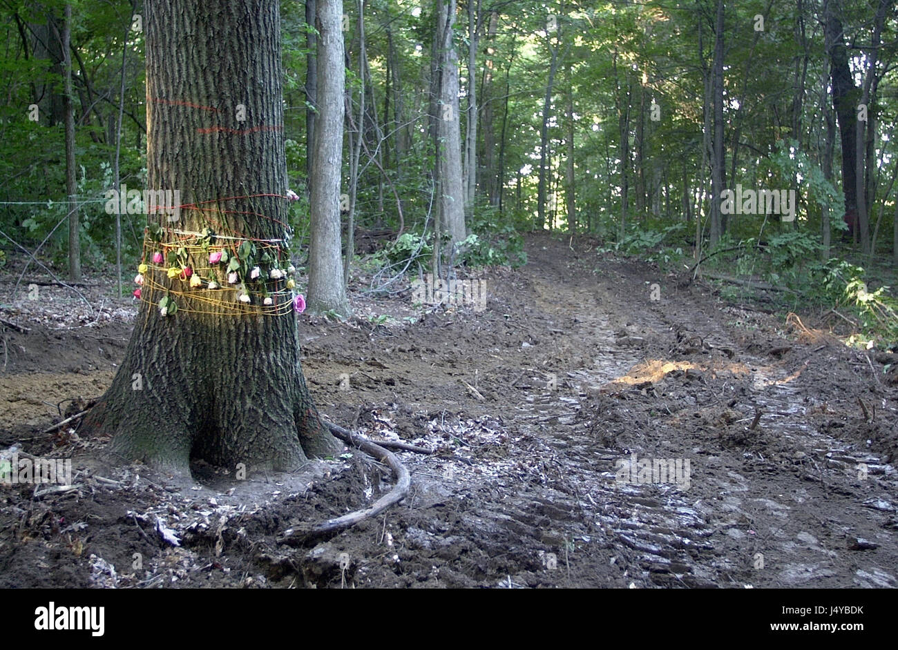 Burnout tracks High Resolution Stock Photography and Images - Alamy