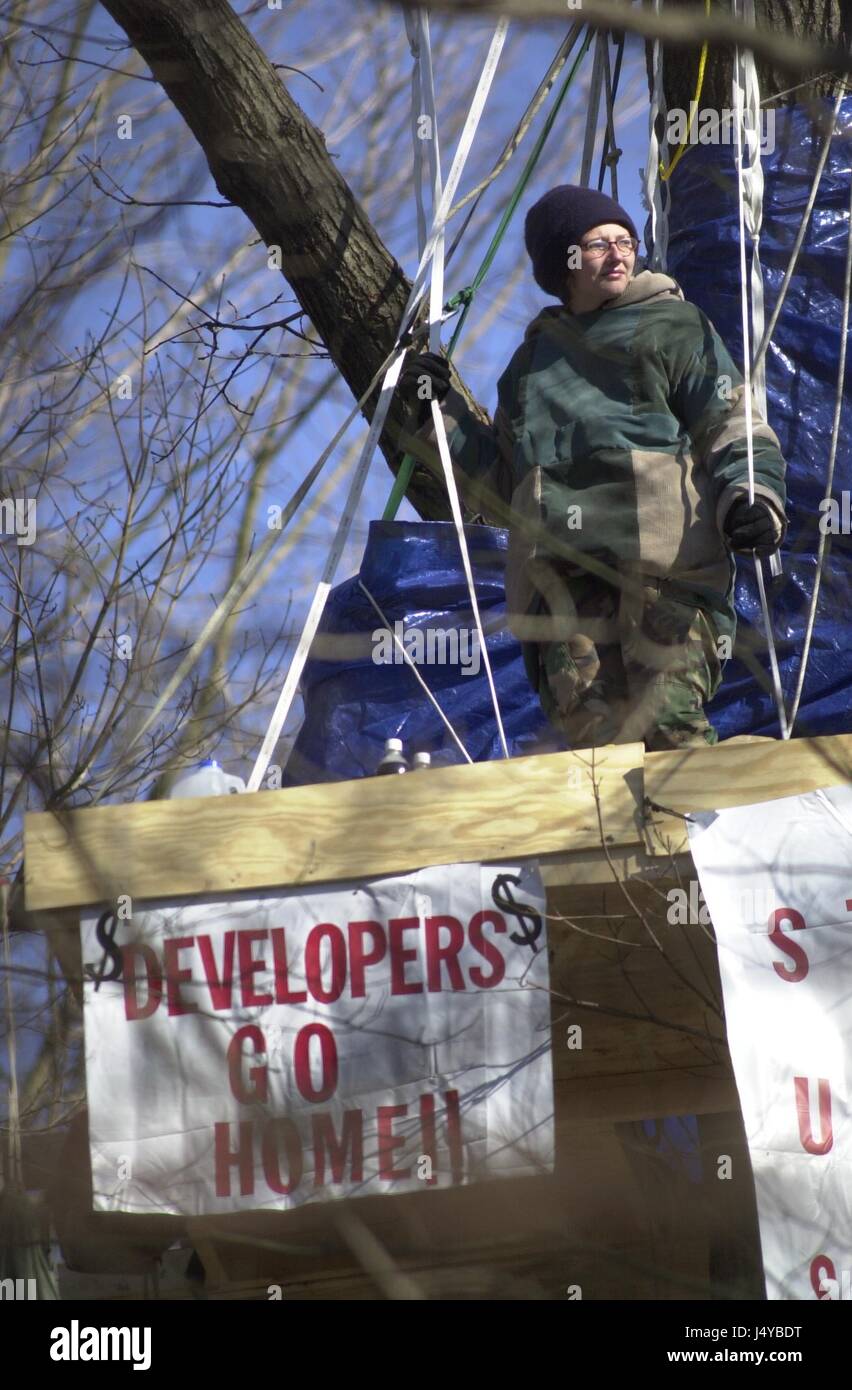 Tracy "Dolphin" McNeeley stands on a platform where she began a tree ...