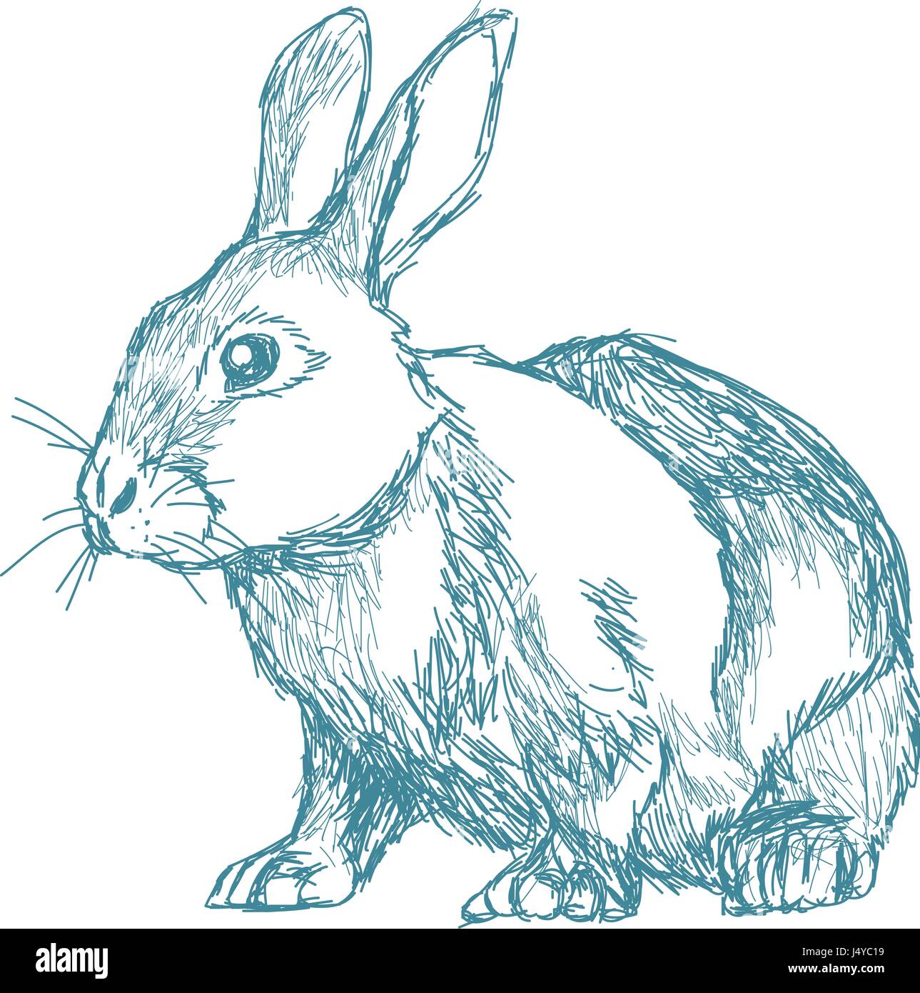 beautiful and adorable, blue sketch style Stock Vector Image & Art - Alamy