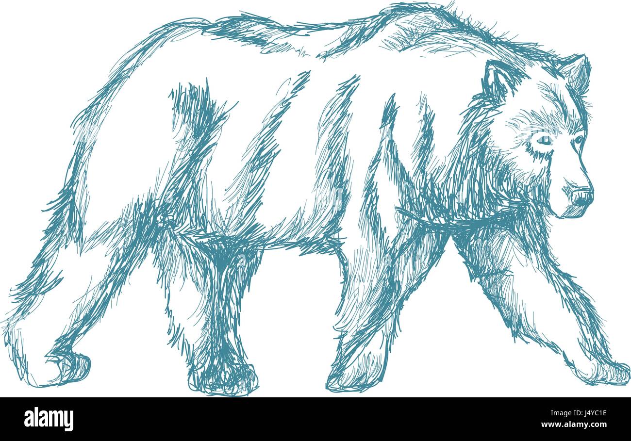 animal wild bear, blue hand-drawing Stock Vector Image & Art - Alamy