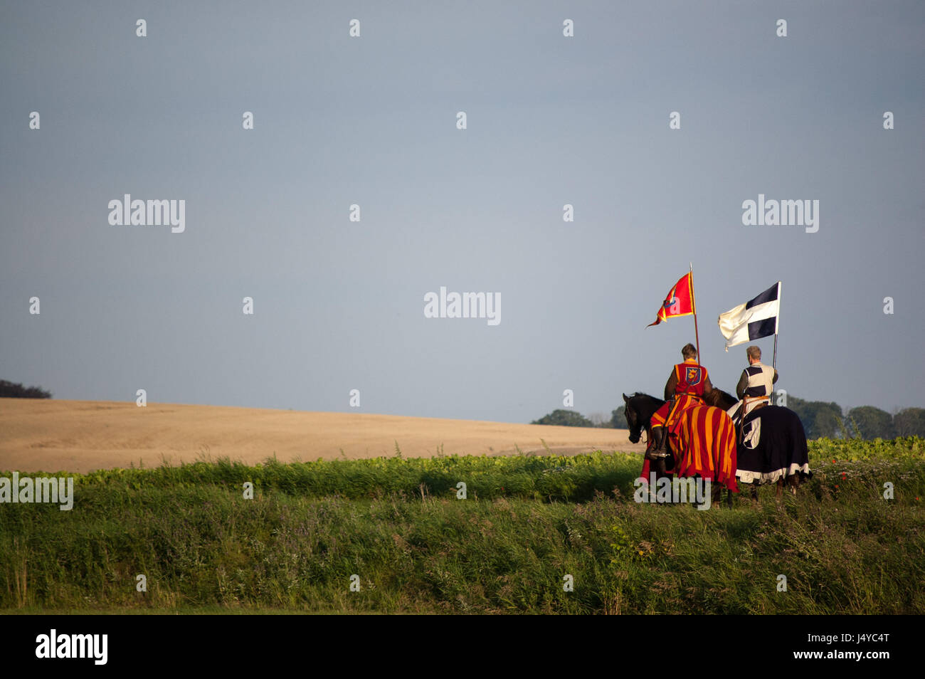 Medieval Knights watching over the Battlefield Stock Photo - Alamy