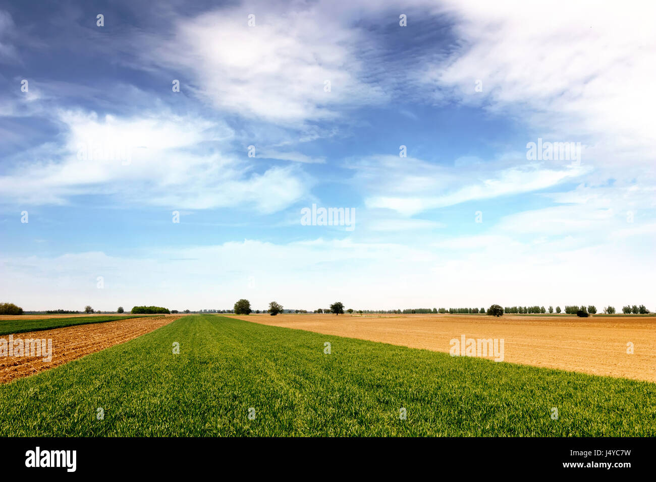 Agricultural field In Early Spring. Agricultural Background Stock Photo ...