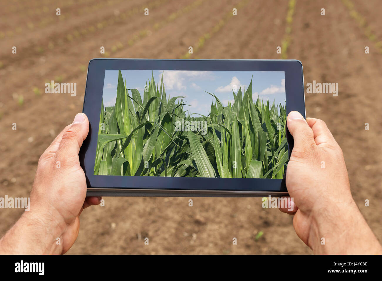 Smart agriculture. Farmer using tablet corn planting. Modern ... Smart agriculture. Farmer using tablet corn planting. Modern ...