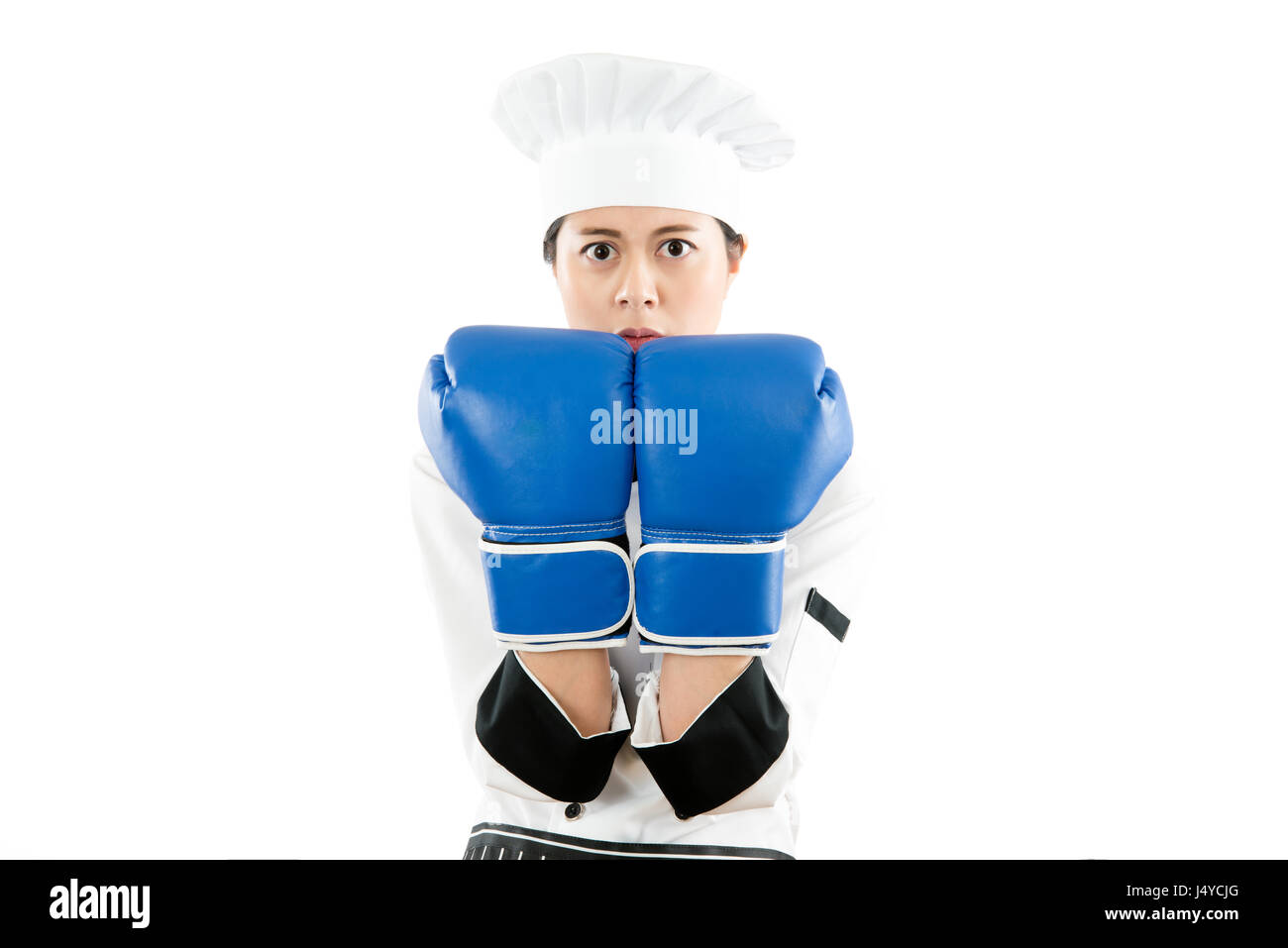 asian cooking chef wearing boxing gloves ready to fight isolated on ...