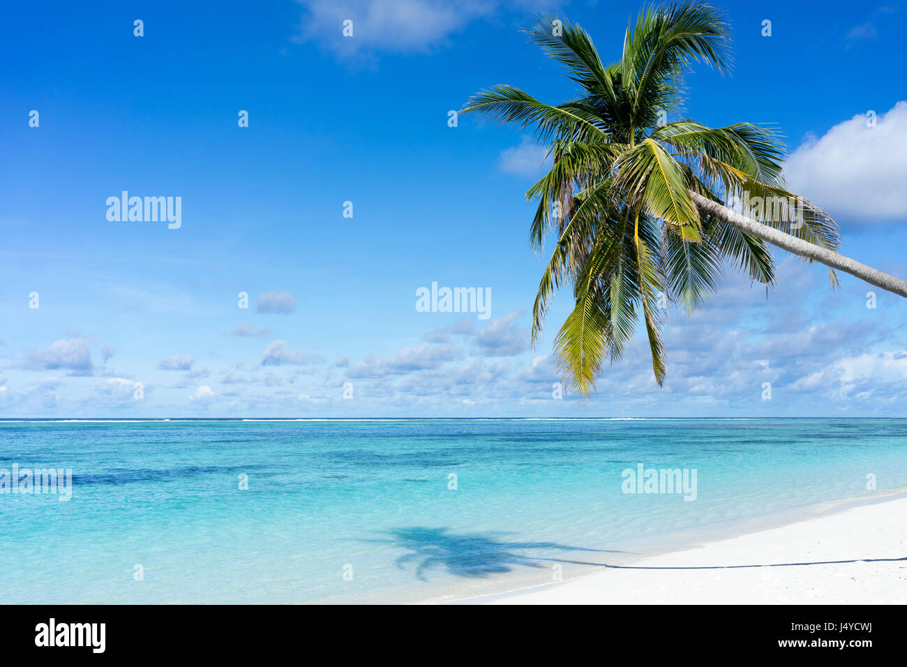 beautiful tropical beach and sea with coconut tree Stock Photo - Alamy