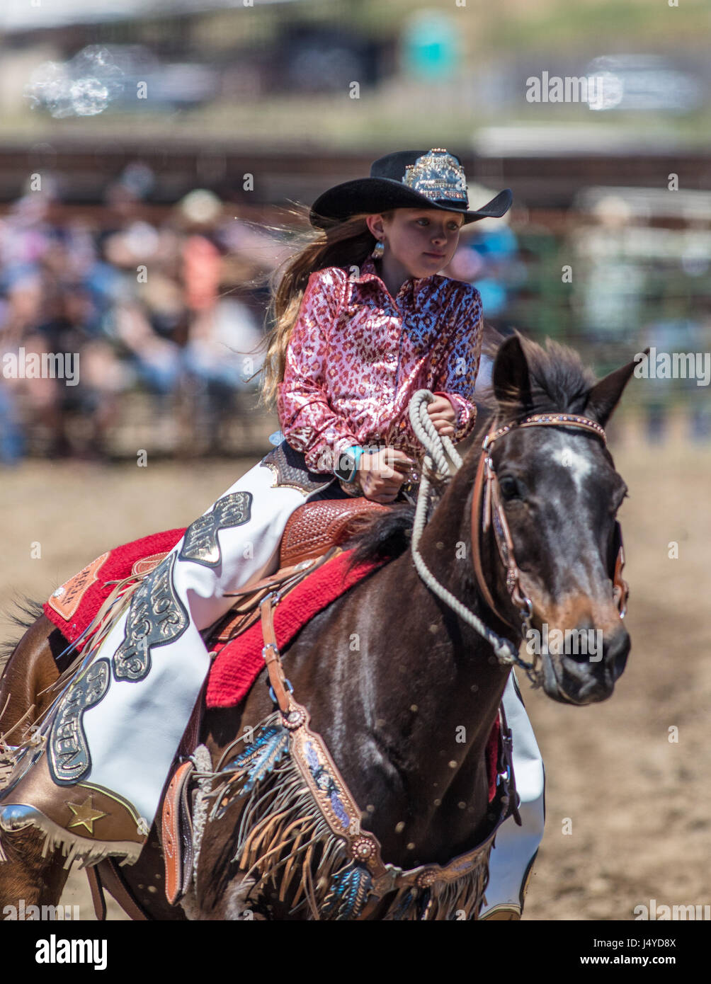 Rodeo cowgirl riding in the arena Stock Photo - Alamy