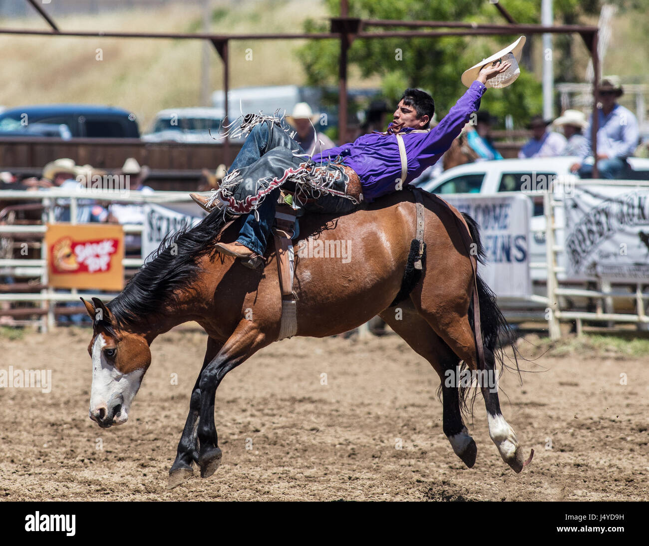 Rodeo cowboys in action at the Cottonwood Rodeo in Northern California ...