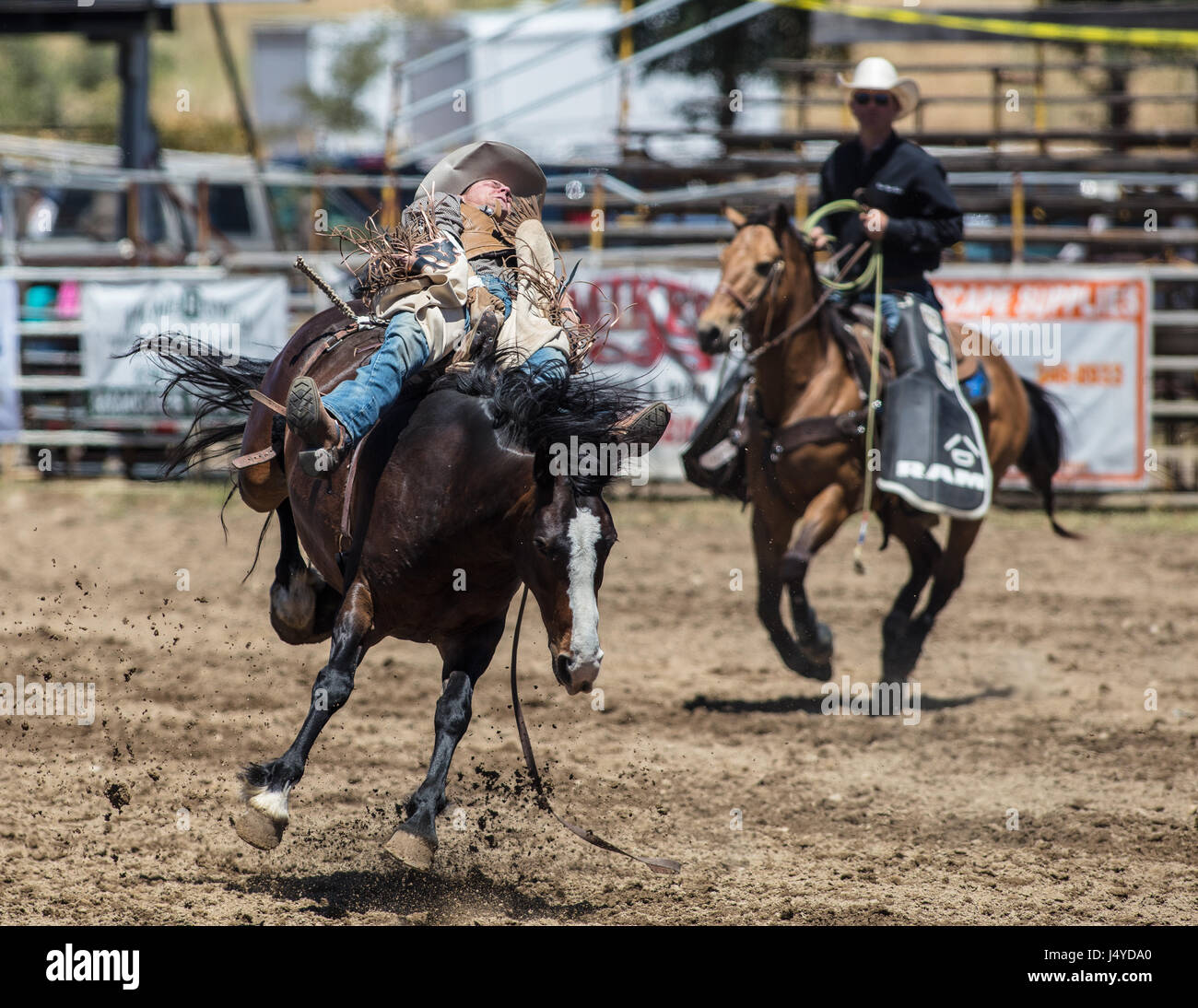 Bareback cowboy hi-res stock photography and images - Alamy