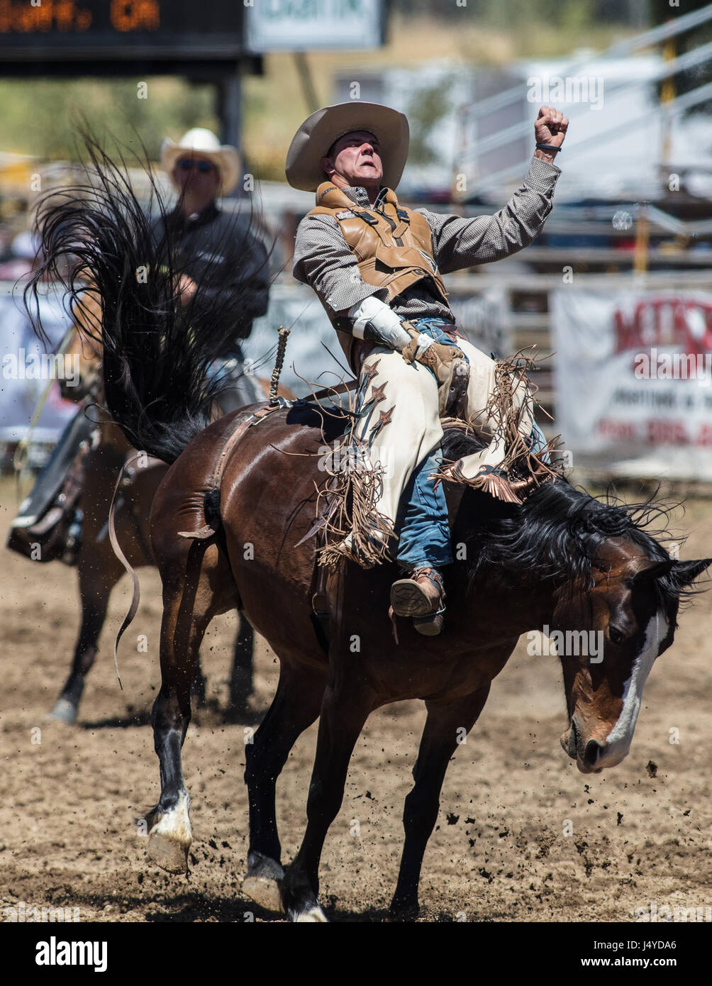 Bareback bronc riding hi-res stock photography and images - Alamy