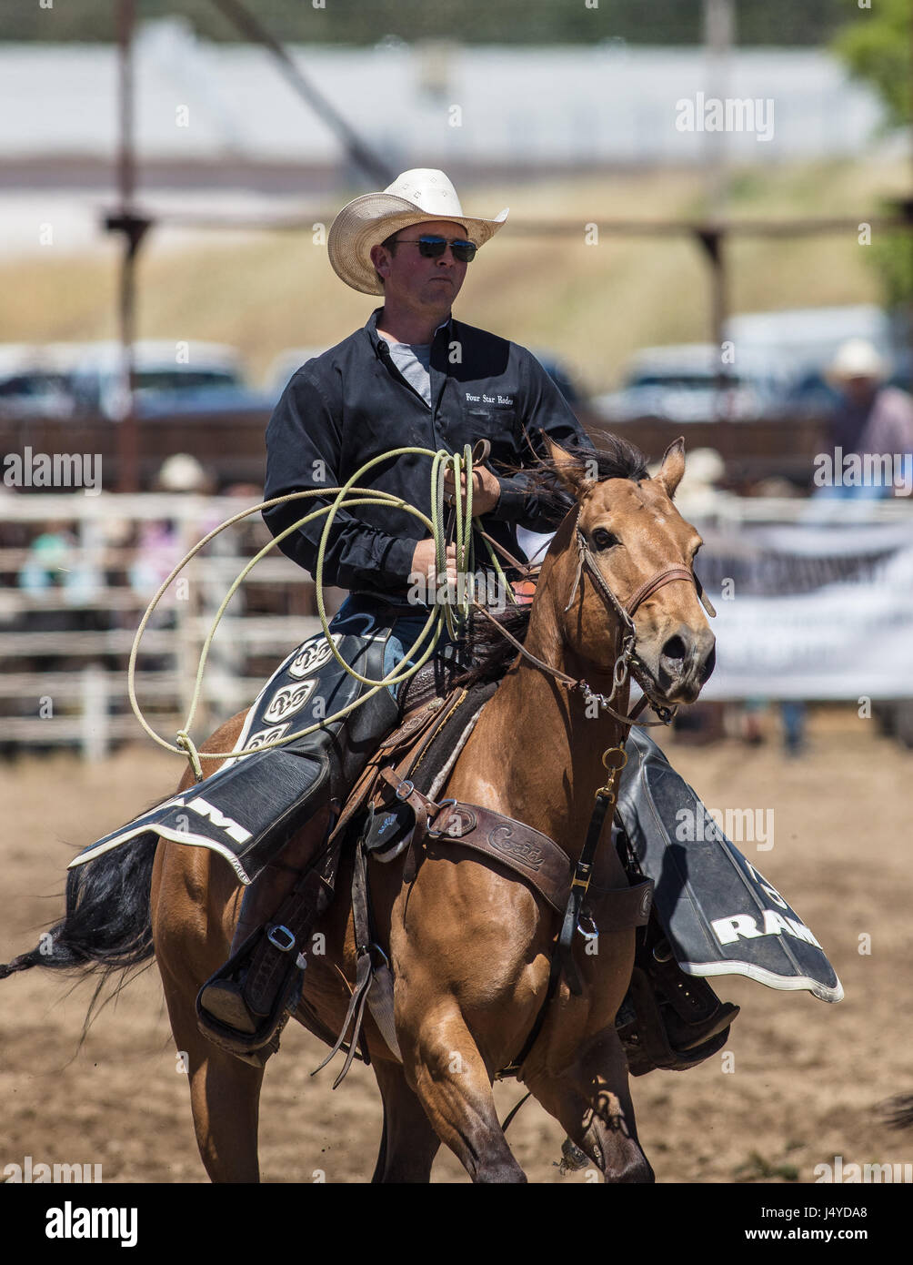 Rodeo cowboys in action at the Cottonwood Rodeo in Northern California ...