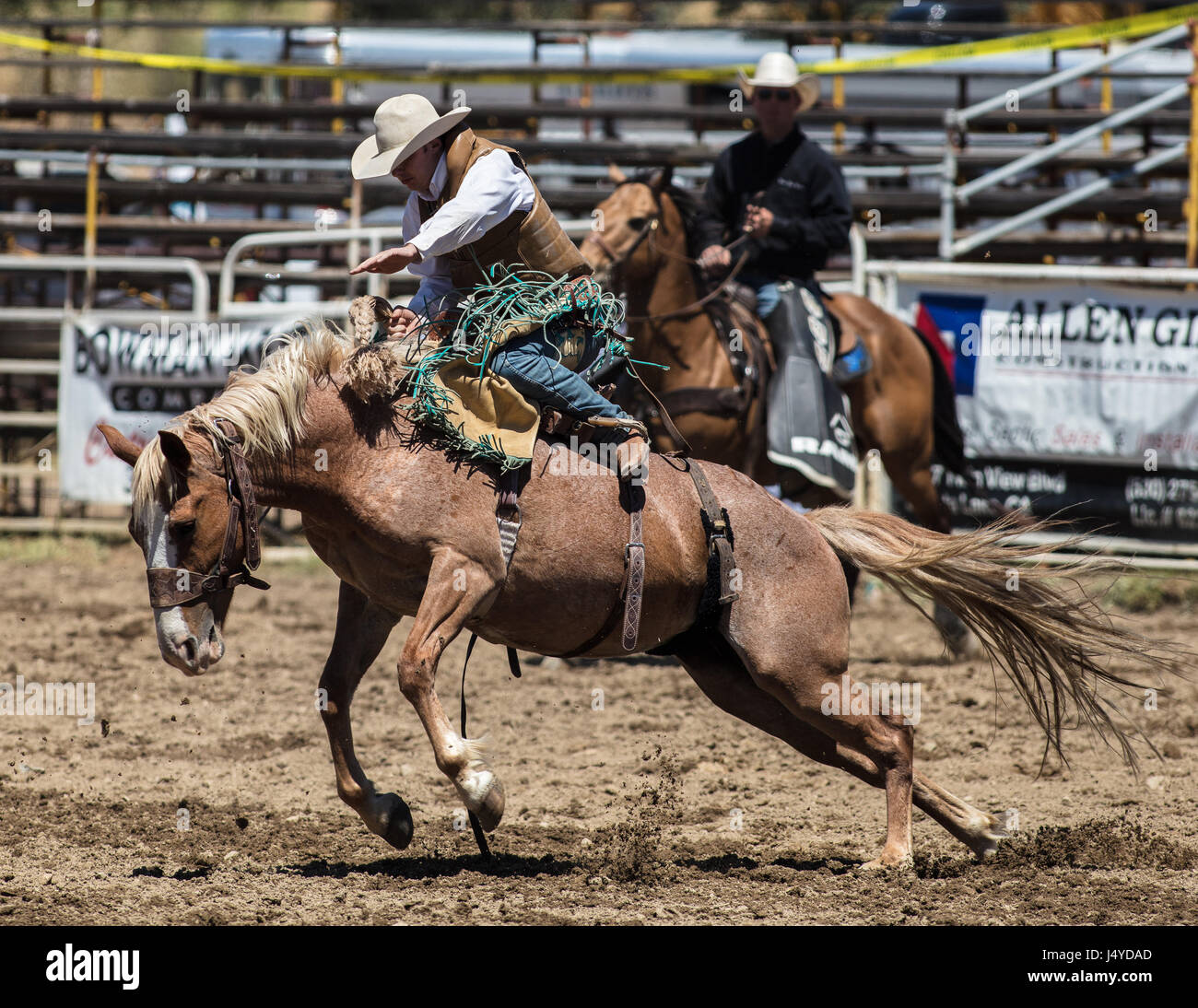 Bareback bronc riding hi-res stock photography and images - Alamy
