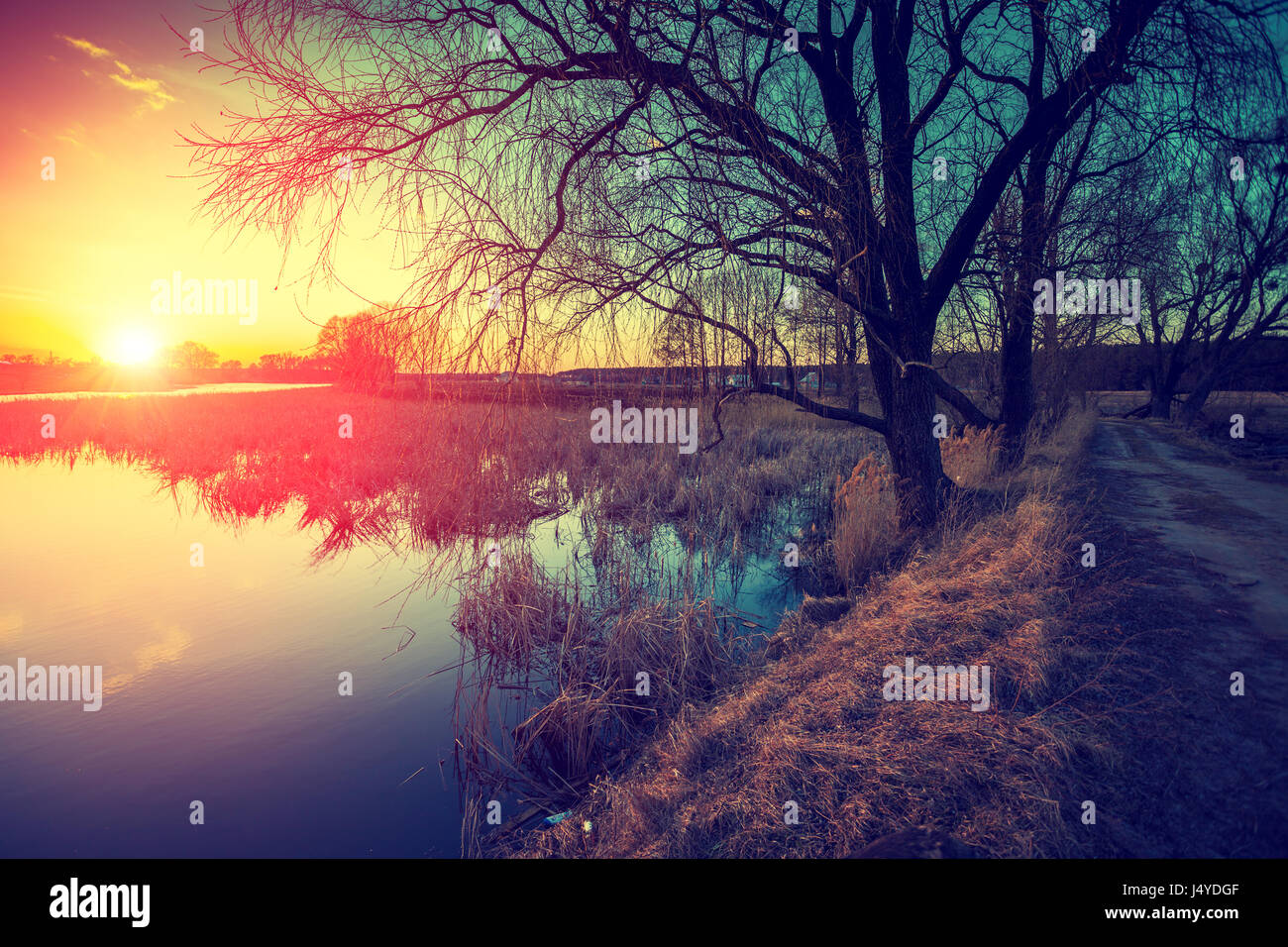 Wild nature. Autumn rural landscape. Trees without leaves near the calm ...
