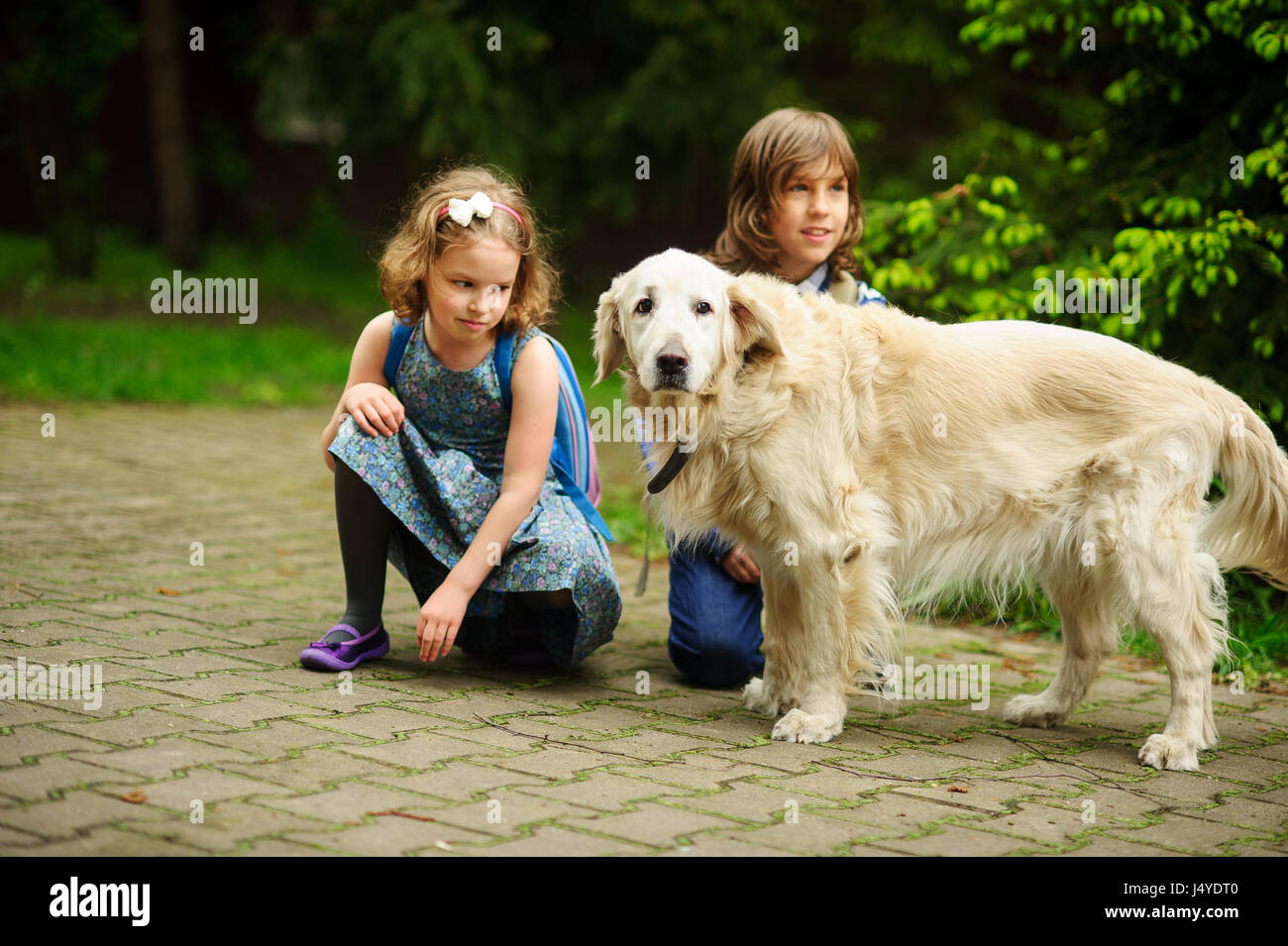 Little schoolchildren meet on the way to school a large dog. Good ...