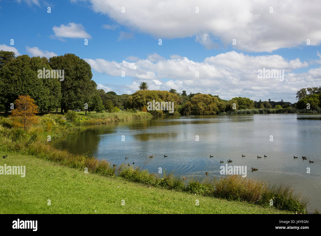 Centennial Parklands in Sydney eastern suburbs, New south wales ...