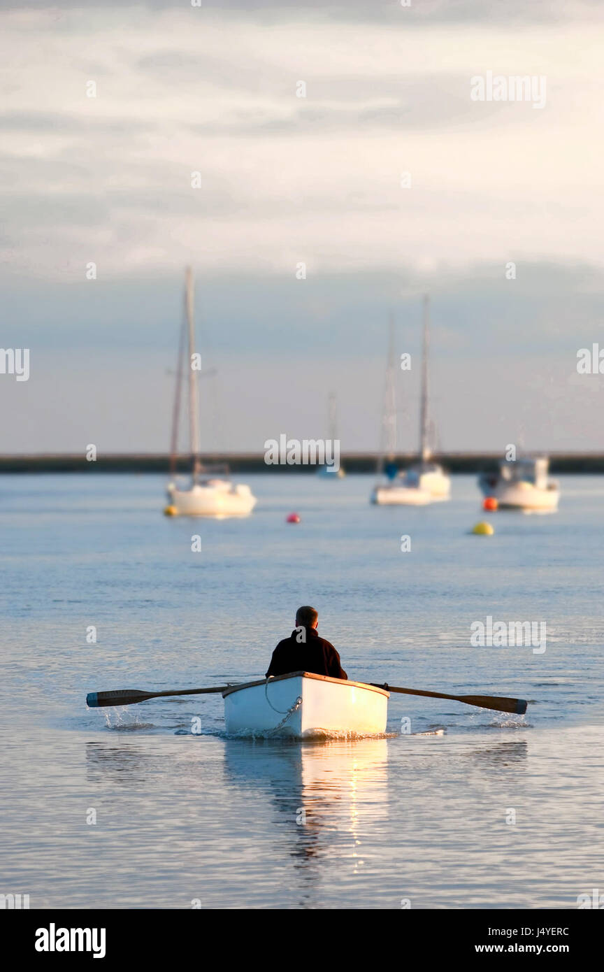solitude of a rower at sunset Stock Photo - Alamy