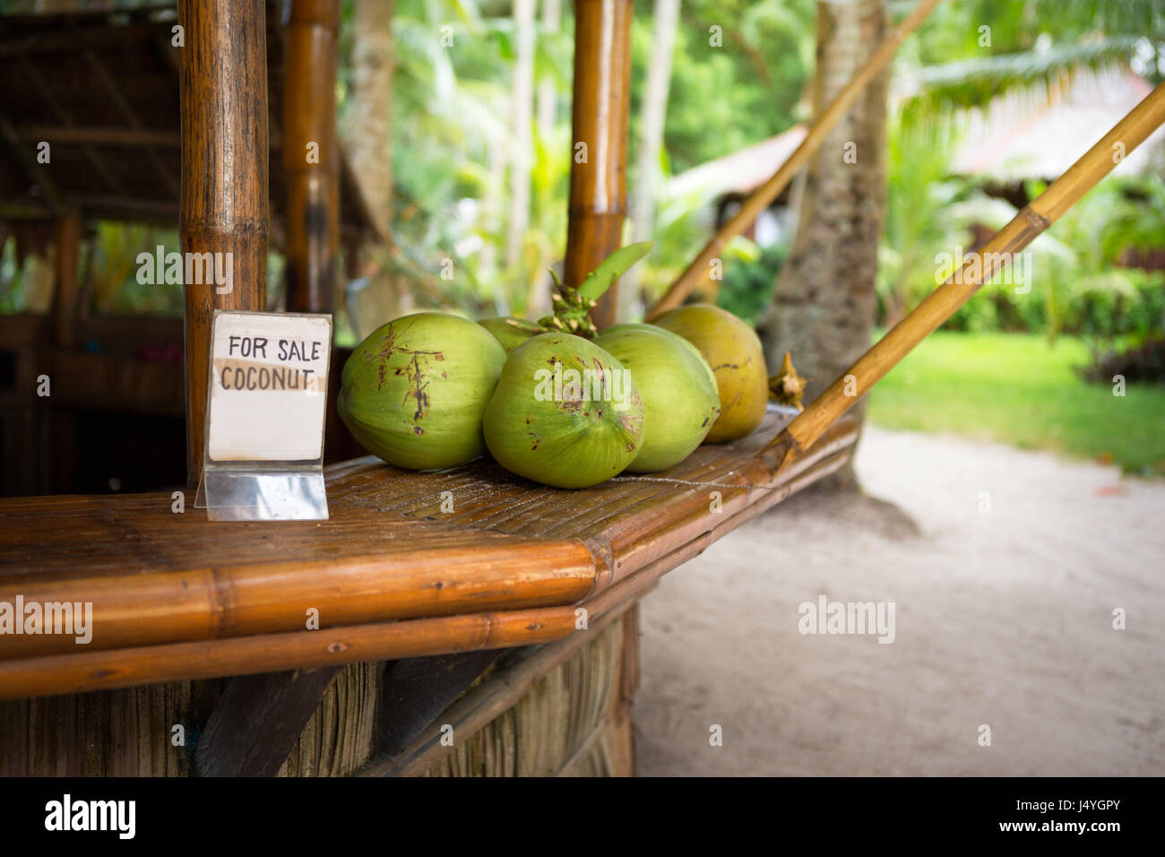 Handwritten sign advertising for sale of fresh green coconuts on pile ...